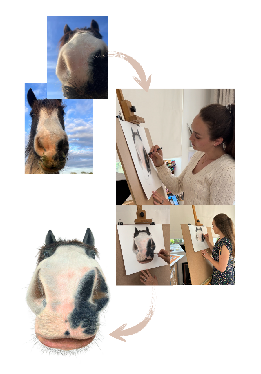 Commissions – Georgie Turner Artist